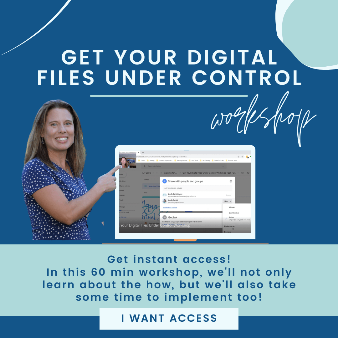 Get Your Digital Files Under Control - Leads to Dollars Bundle - Aqua ...